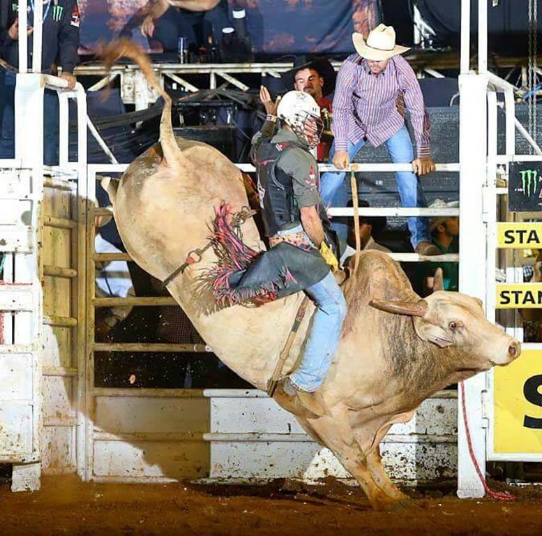 Pedreirense Rafael Rosa conquista títulos em rodeios pelo Brasil