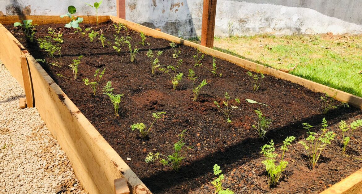 Inaugurada horta comunitária em escola Artur Nogueira